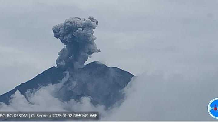 Gunung Semeru Erupsi Lagi, Semburan Abu Vulkanik 900 Meter di Atas Puncak