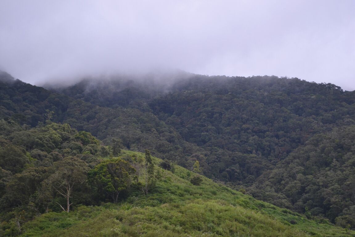 BRA Siapkan 3.575 Hektare Lahan Pertanian untuk Eks Kombatan GAM